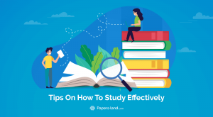 Top 6 College Studying Tips | Papers-Land.com